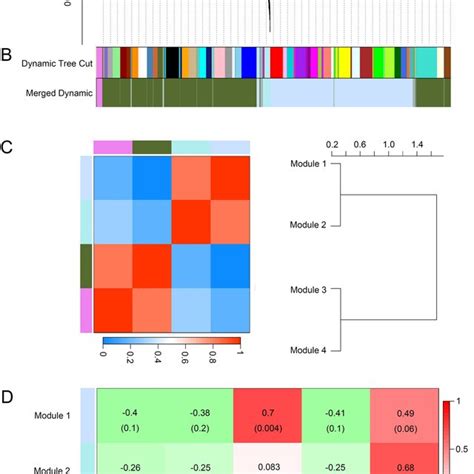 Wgcna Module Identification Of 4734 Core Degs In M Sinostellata R