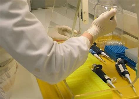 Poultry Feed Testing Service At ₹ 2000sample In Chennai Id