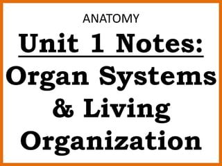 Anatomy Unit Introduction Organ System And Organization Notes PPTX