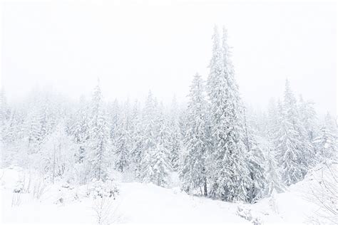 16 Tips For Gorgeous Winter Landscape Photography