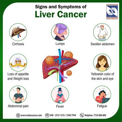 Understanding Liver Cancer Causes Symptoms Prevention And Treatment Induscancer