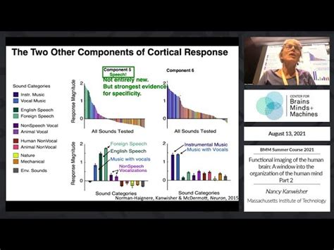 Free Video Functional Imaging Of The Human Brain A Window Into The Organization Of The Human