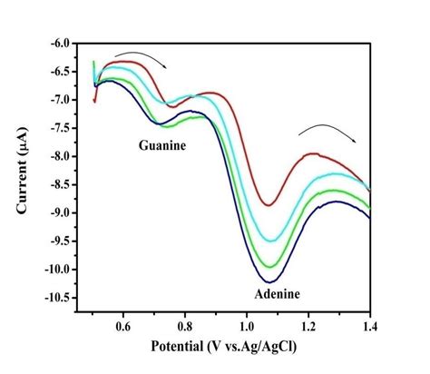 Differential Pulse Voltammograms For The Simultaneous Determina Tion Of Download Scientific