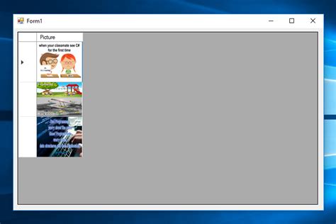 How To Display And Resize The Image In The Datagridview Using Access Database And Vbnet