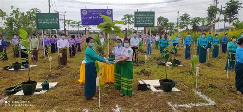 မြန်မာအမျိုးသမီးများနေ့ အထိမ်းအမှတ် မိုးရာသီသစ်ပင်စိုက်ပွဲတော်ကျင်းပ Information And Public