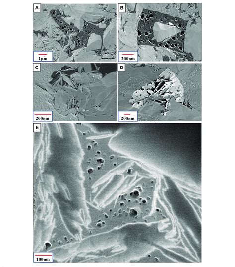 FIB SEM Image A D The FIB HIM Image E And The Well SWY Download Scientific Diagram