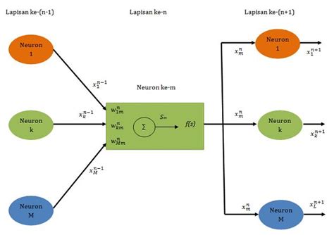 Seputar Pembelajaran Jaringan Backpropagation Bpnn Matematika Ku