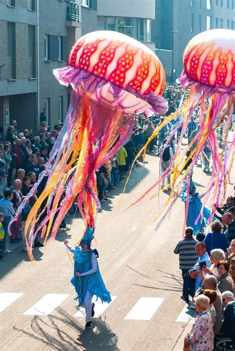 Best 13 Humpback Whale Inflatable Replica Artofit