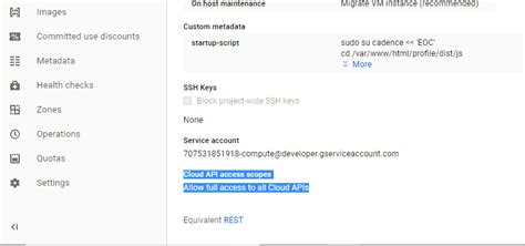 Jinja2 How To Allow Allow Full Access To All Cloud APIs For Cloud