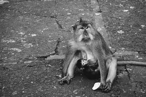 Premium Photo Mother Nature