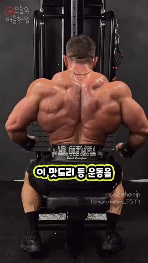 오늘의 머슬한입 등운동 3가지 개넓은 프레임의 지름길💪 오늘의머슬한입 머슬한입 헬스 등운동 헬스타그램 웨이트트레이닝 꿀팁 운동영상 운동그램 풀업