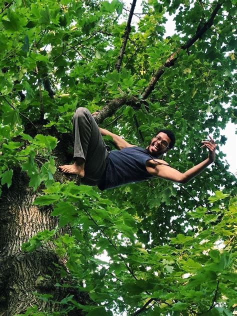 web automation demo using excel vba by nickantony quach coalmont medium