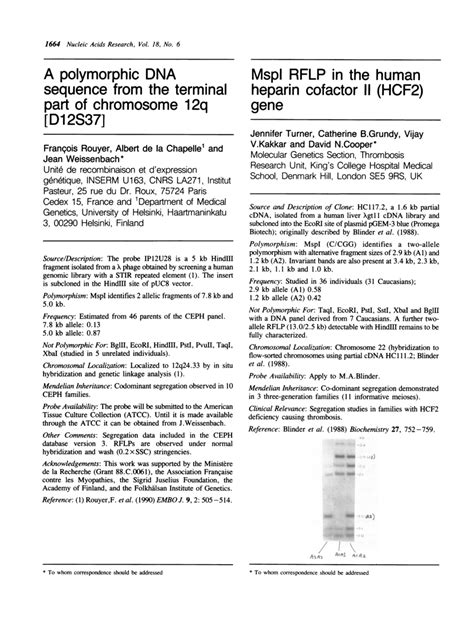 Pdf A Polymorphic Dna Sequence From The Terminal Part Of Chromosome