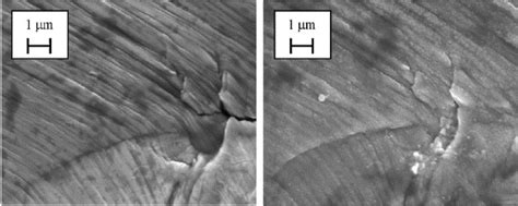 Effect Of Emf Treatment A Crack Tip Blunting 5 B Phase