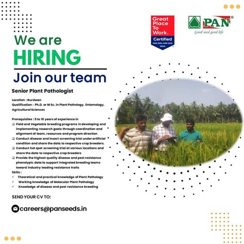 Vacancy Plantpathology Panseeds Panseeds Career