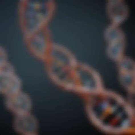 Examples Of Genetic Mutations Insights And Implications