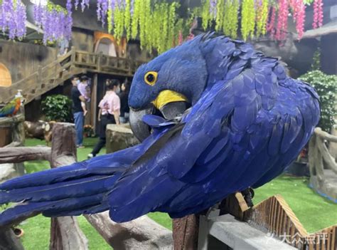 深圳親子好去處15大最新深圳親子一日遊推介 室內動物園滑雪場遊樂場附深圳親子酒店兒童牙科 U Travel