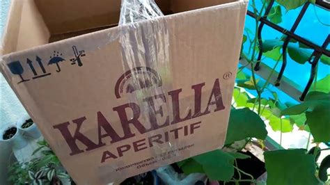 Как перевозить рассаду в общественном транспорте безопасно Youtube