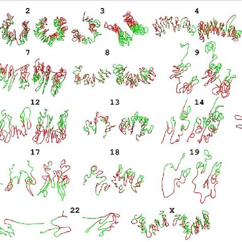 Two Compartments Of All 23 Chromosomal Structures At 1 Mb Resolution Download Scientific