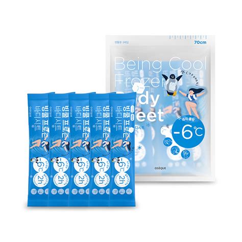 오제끄 11 빙쿨 프로즌 바디 시트 일회용 쿨링 시트 위시버킷