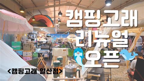 핫한 캠핑용품은 바로 여기👀 캠핑고래 일산점 할인행사중🐳 새단장 방문전 영상 보고 가세요🤗 포레스트리버2 캠핑용품샵리뷰 텐트추천 Camping 감성캠핑 초보
