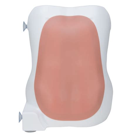 Epidural And Spinal Injection Trainer Light [sku 1017891] Nasco Healthcare