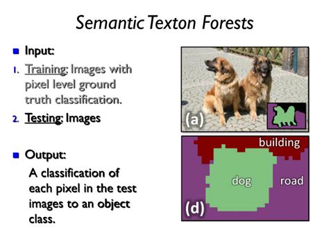 Ppt Semantic Texton Forests For Image Categorization And Segmentation Powerpoint Presentation
