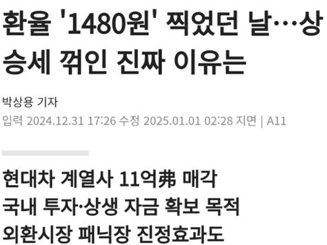 현대가 달러 엄청 던졌구나 유머 게시판