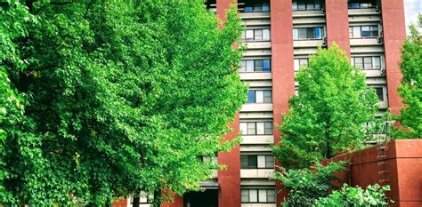 Computational Science School Of Math And Phys Kanazawa University