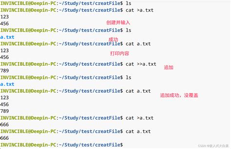 肯定有一个你不熟悉的linux创建文件方法vim Touch Echo Csdn博客