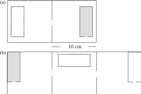 Experimental Set Up For A Experiment And B Experiment Boxes Download Scientific