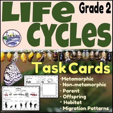 Life Cycles Gr 2 Metamorphic Non Metamorphic Indigenous Content Task Cards
