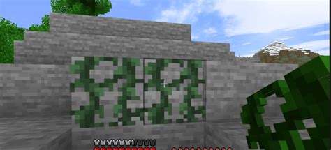How To Get Vines In Minecraft Best Places To Find It