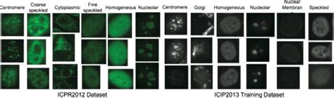 Classification Accuracy Of The LLDC Method Under Various K LDV On ICPR Download Scientific