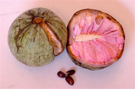 Fruta De Anona At Margaret Swan Blog