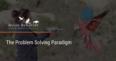The Problem Solving Paradigm Avian Behavior Lab