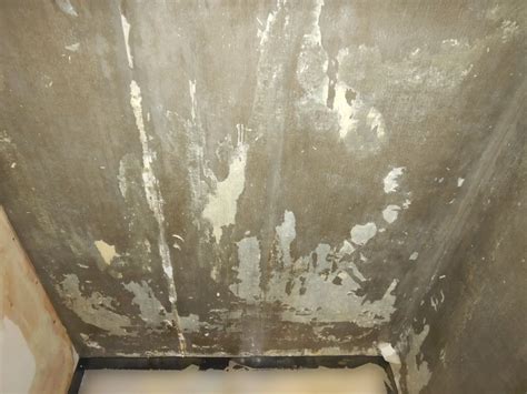 【埼玉県さいたま市】玄関壁結露するコンクリートに結露対策工事を ブログ 埼玉の防カビ工事なら「有限会社プレモ」