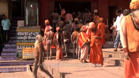 Buck Naked Naga Sadhus In Varanasi Celebrating Maha Shivratri YouTube
