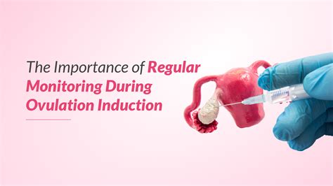 Why Regular Monitoring Is Crucial During Ovulation Induction