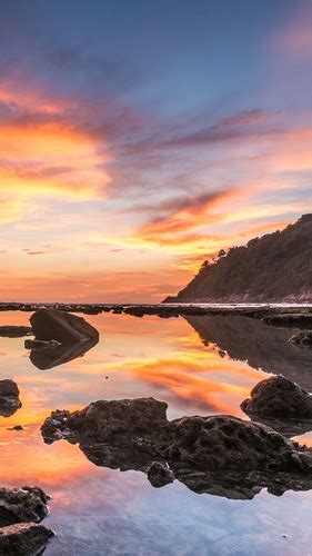 Chapter 4 Flashcards Quizlet