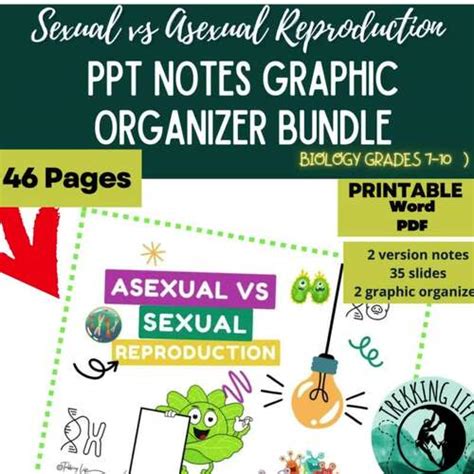 Sexual Vs Asexual Reproduction Notes And Graphic Organizer Bundle