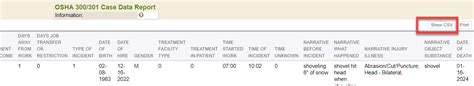 Webchart Osha 300301 Case Data Report
