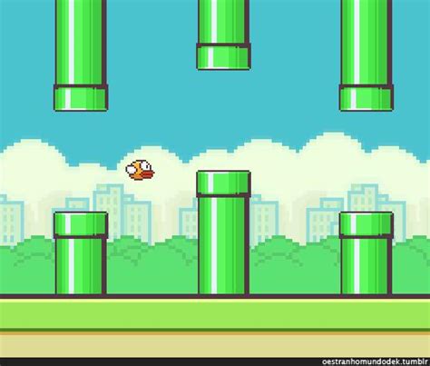 Scratch 游戏编程（二）：飞鸟闯关 知乎