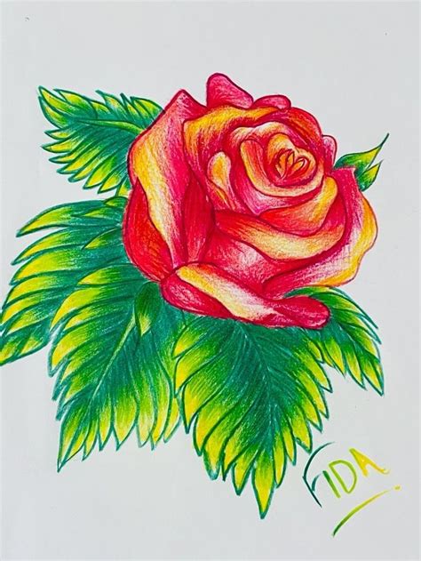 Aesthetic Rose Colorful Rose Rose Drawing Red Rose Crimson Rose