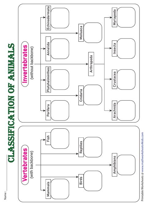 Classification Of Animals Exercise Worksheet Zone