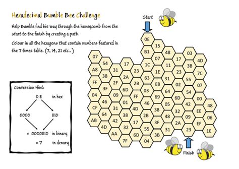 hexadecimal conversion worksheet activity computer science task