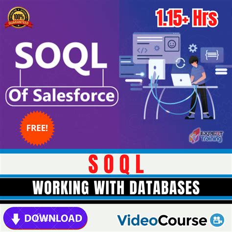 soql and working with databases expert training