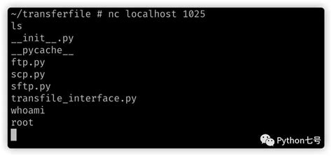 来看看 Python 病毒长啥样 51ctocom