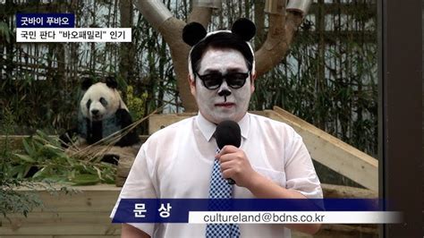 문상 판다 유머 움짤 이슈 에펨코리아