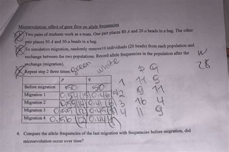 Solved Microevolution Effect Of Gene Flow On Allele
